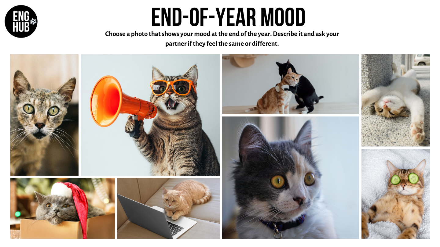 The Big Year Wrap-Up!